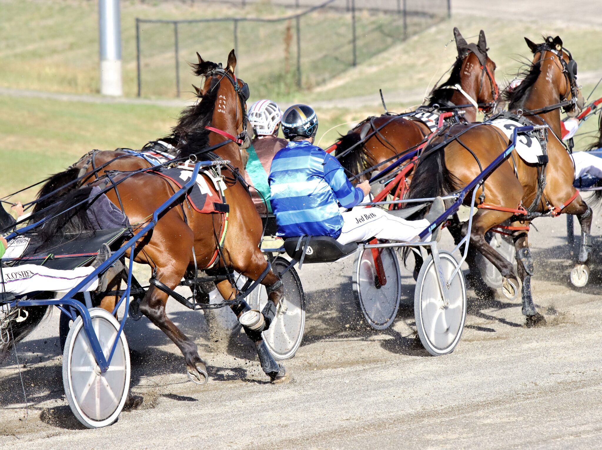 Bathurst Harness Racing Club - Bathurst Region Tourism