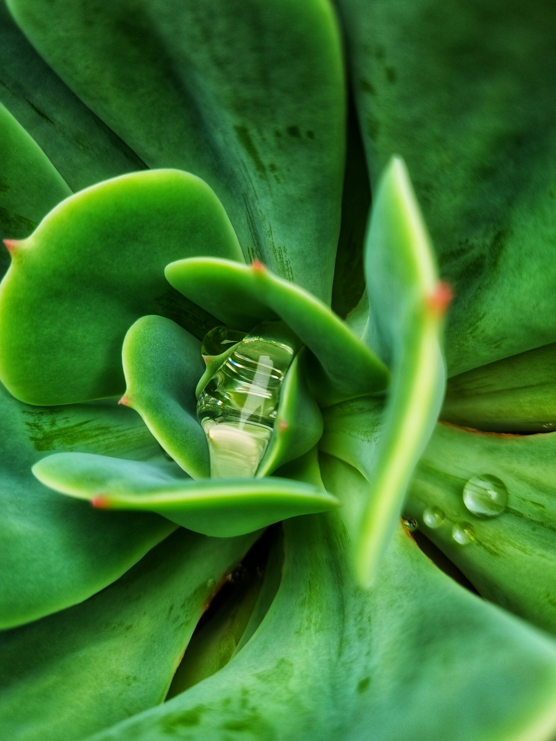 Bathurst Autumn Photo Competition - Bathurst Region Tourism