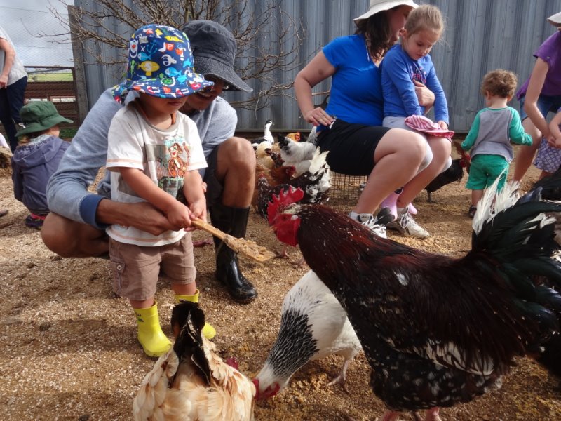 Bathurst Farm Experience - Bathurst Region Tourism