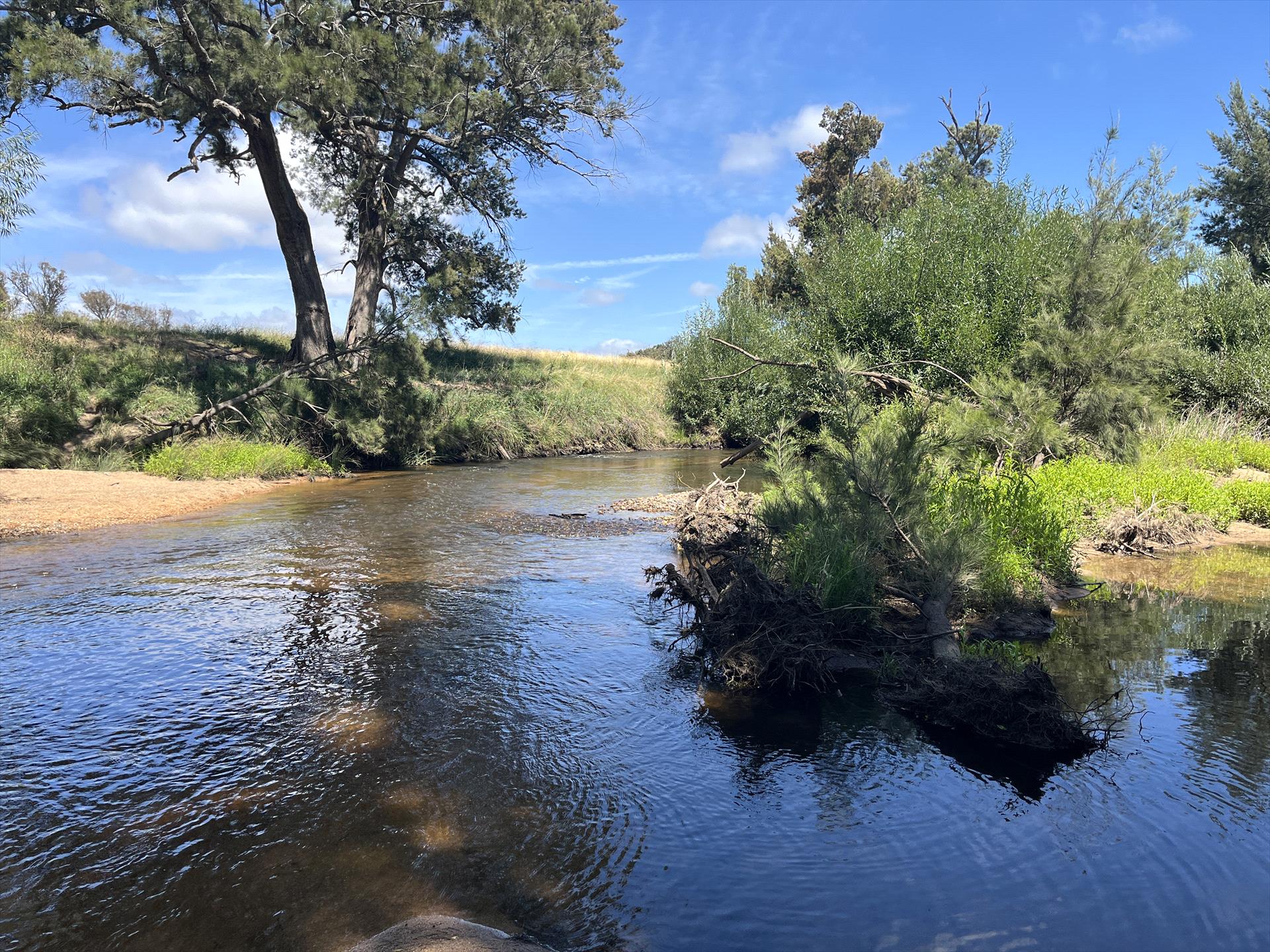 Windy Oaks Farm - Bathurst Region Tourism